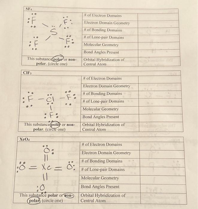 Solved \begin{tabular}{|l|l|} \hline Electron Domain | Chegg.com