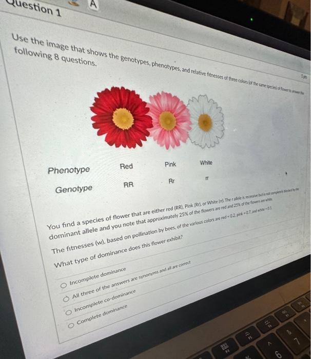 Solved Use the image that shows the genotypes, phenotypes, | Chegg.com