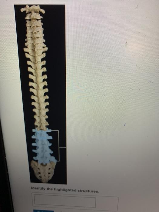 Solved Part A Identify the highlighted structures. | Chegg.com