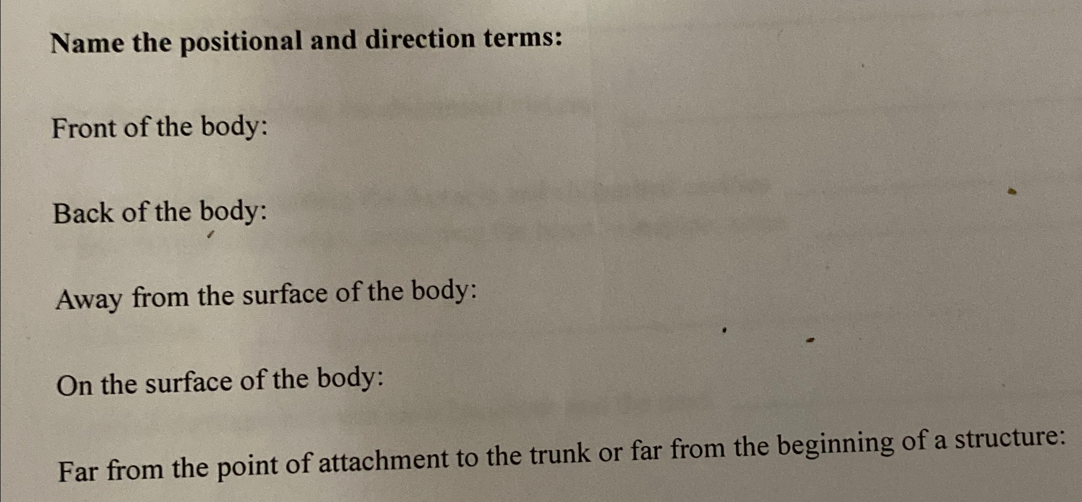 Solved Name the positional and direction terms:Front of the | Chegg.com