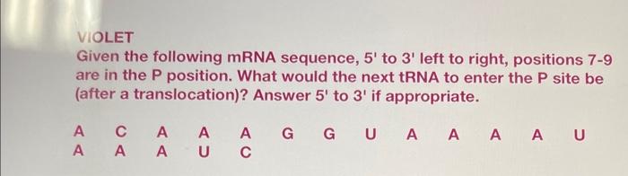 Solved Violet Given The Following Mrna Sequence 5′ To 3′