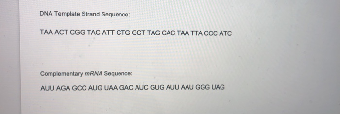 Solved DNA Template Strand Sequence: TAA ACT CGG TAC ATT CTG | Chegg.com