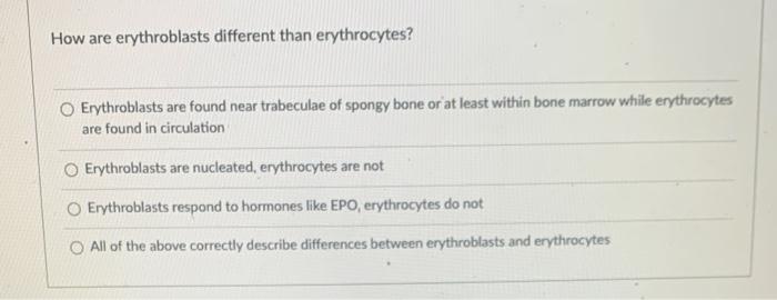 Solved How are erythroblasts different than erythrocytes? | Chegg.com