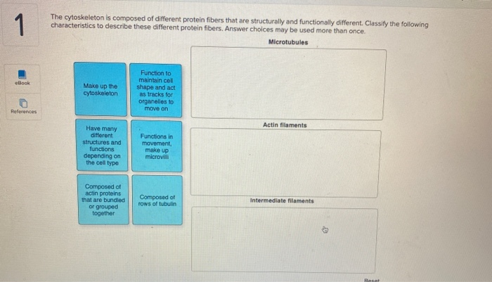 Solved Help Save 2 Correctly label the following structures | Chegg.com