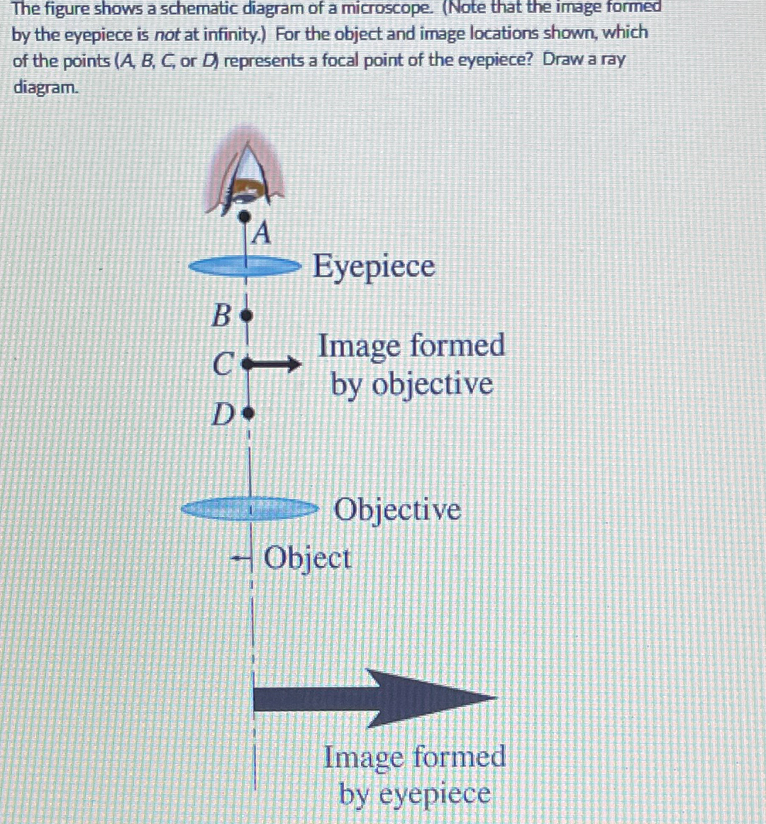 Solved The figure shows a schematic diagram of a microscope. | Chegg.com