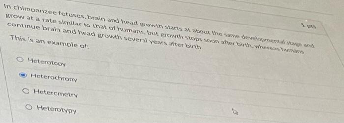 Solved In chimpanzee fetuses, brain and head growth starts | Chegg.com
