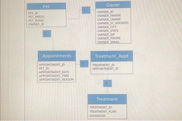 4. Veterinarian Office Case: Part 2 The veterinarian | Chegg.com