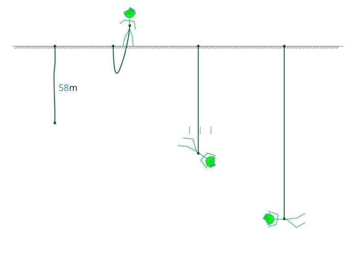 Solved A 77kg student bungee jumps off a bridge as shown | Chegg.com