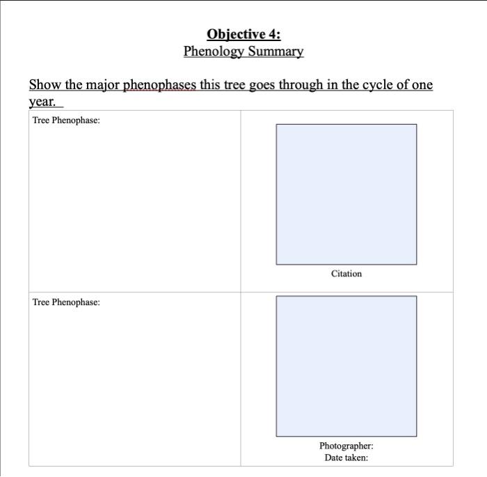 Please desribe the major phenophases of the Eastern | Chegg.com