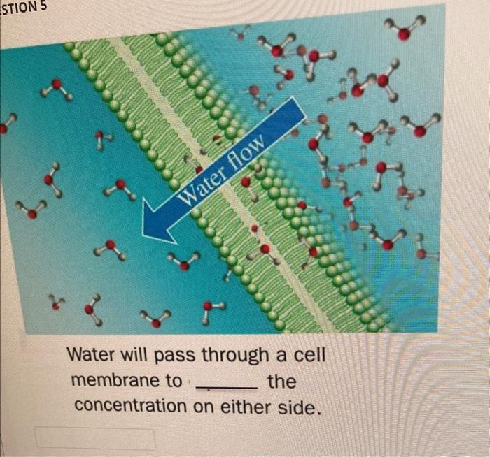 Solved Water will pass through a cell membrane to the | Chegg.com