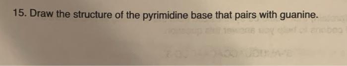 Solved Draw the structure of the pyrimidine base that pairs | Chegg.com