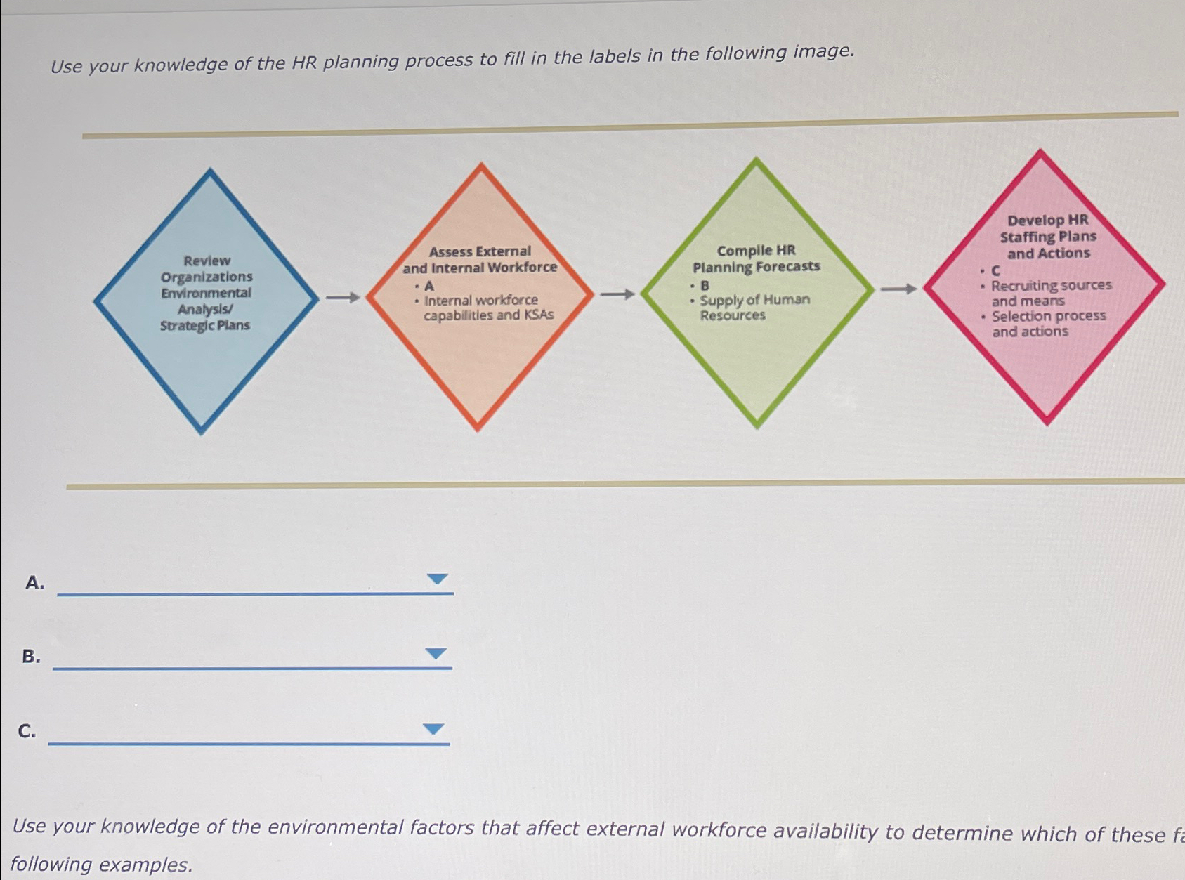 Solved Use your knowledge of the HR planning process to fill | Chegg.com