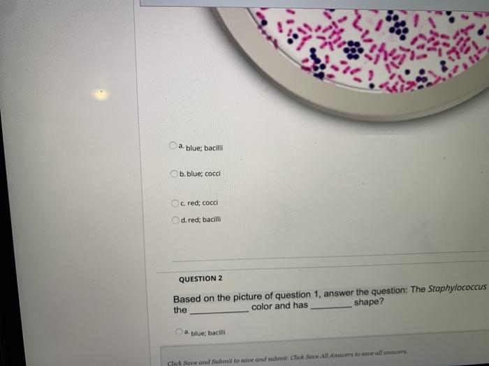 Solved . a. blue; bacilli b.blue; cocci cred; cocci d. | Chegg.com