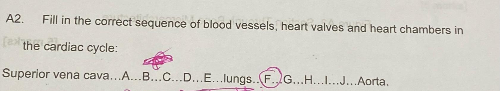 Solved A2. ﻿Fill in the correct sequence of blood vessels, | Chegg.com
