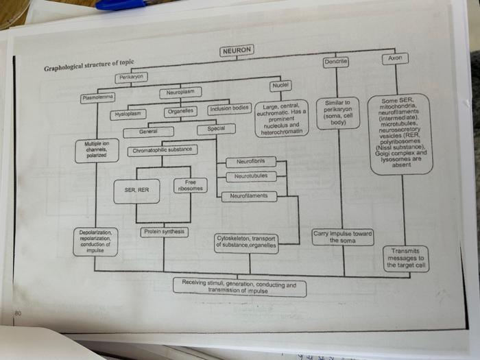 Solved Histology - as well please answer the question2 and 3 | Chegg.com