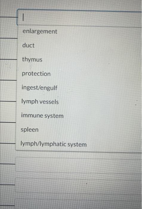 Solved Match each root or suffix with its appropriate | Chegg.com