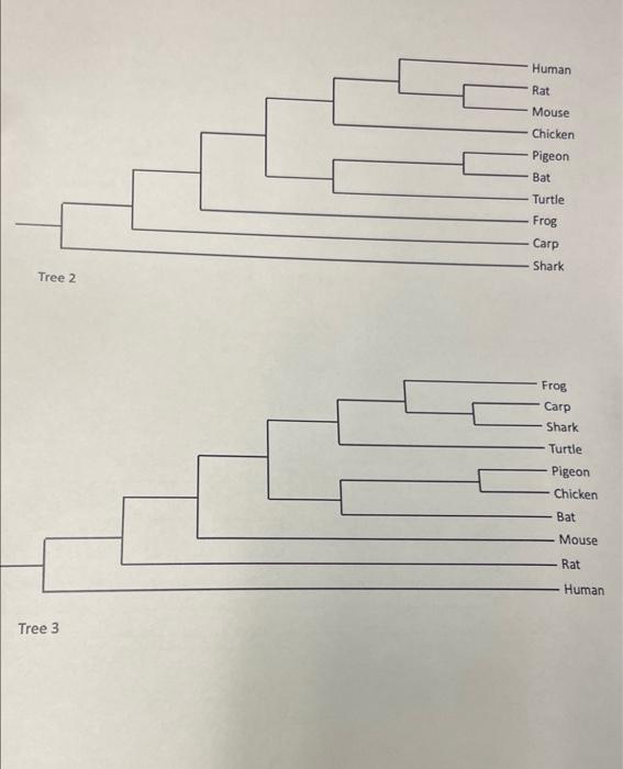 Solved Lab Activity: Disprovable Trees There ane 10 | Chegg.com