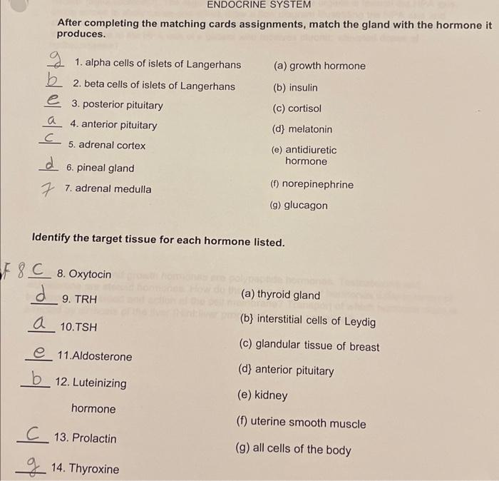 Solved L11 is a study on the major glands and the hormones | Chegg.com