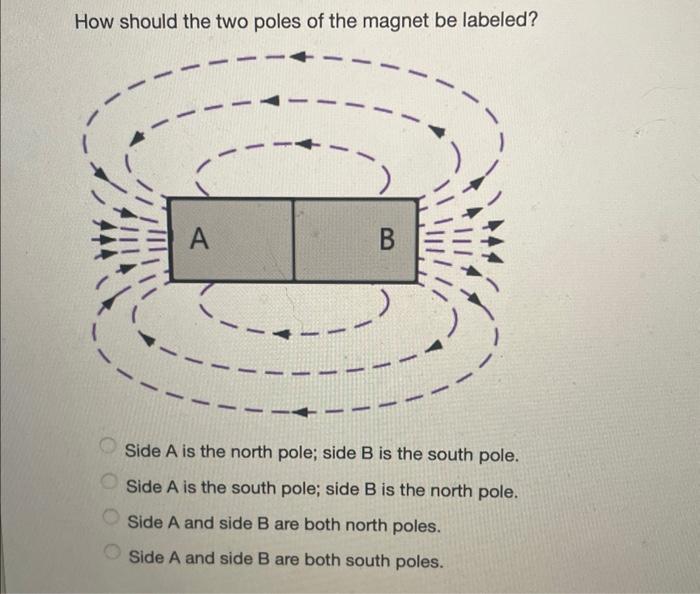 Solved How should the two poles of the magnet be labeled? | Chegg.com