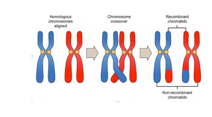 Solved a short explanation of each slide specifically on how | Chegg.com