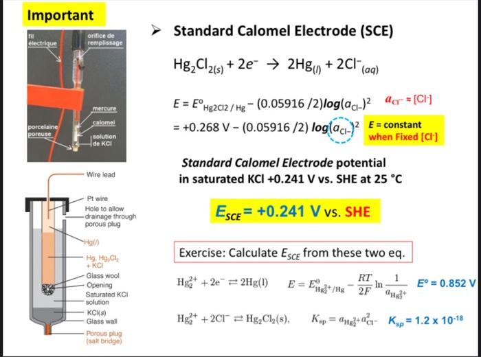 Solved Standard Calomel Electrode (SCE) | Chegg.com