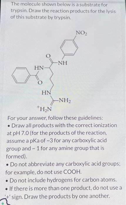 Solved The molecule shown below is a substrate for trypsin. | Chegg.com