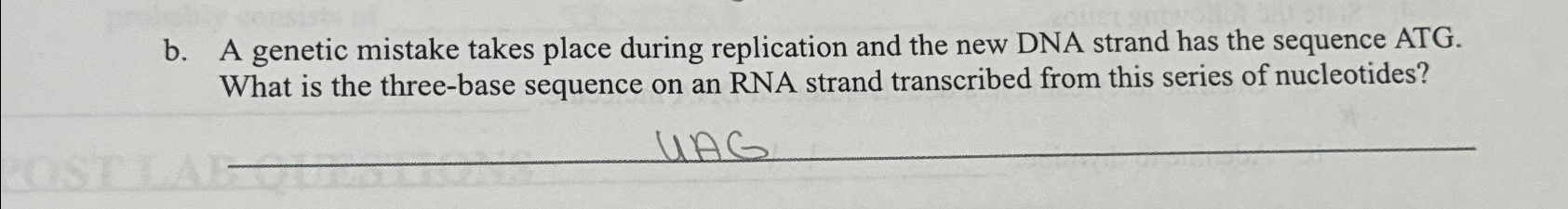 Solved b. ﻿A genetic mistake takes place during replication | Chegg.com