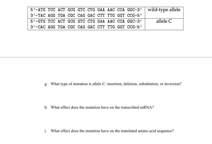 Solved 5'-ATG TCC ACT GCG GTC CTG GAA AAC CCA GGC-3' | Chegg.com