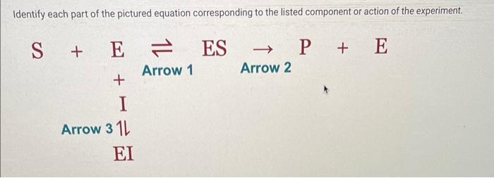 Solved Identify each part of the pictured equation | Chegg.com