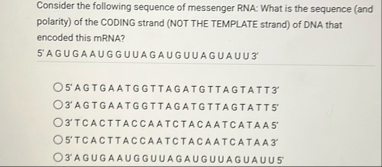 Solved Consider the following sequence of messenger RNA: | Chegg.com