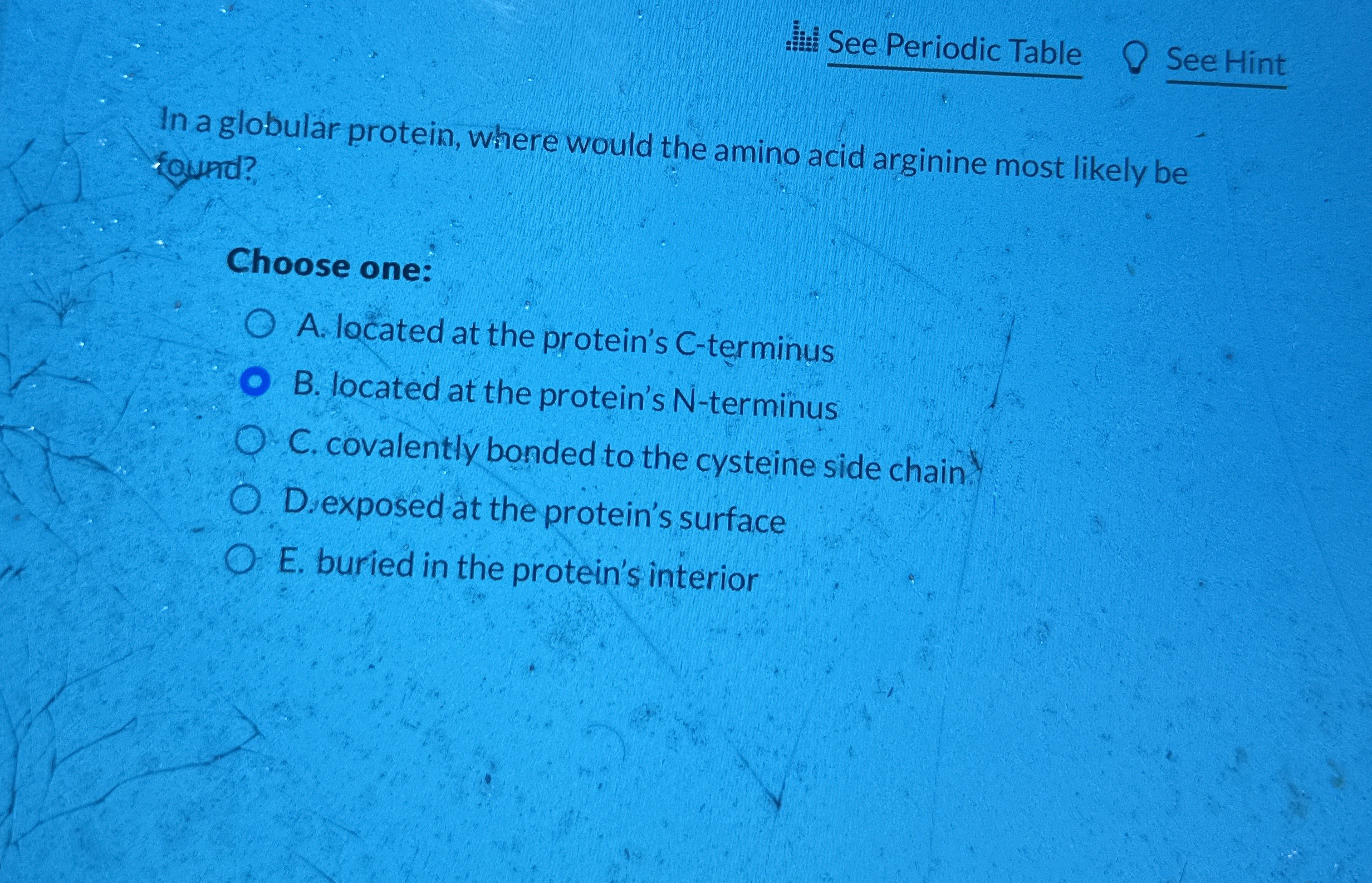 Solved In a globular protein, where would the amino acid | Chegg.com