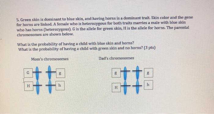 Solved 3. Freckles are inherited as an autosomal dominant | Chegg.com