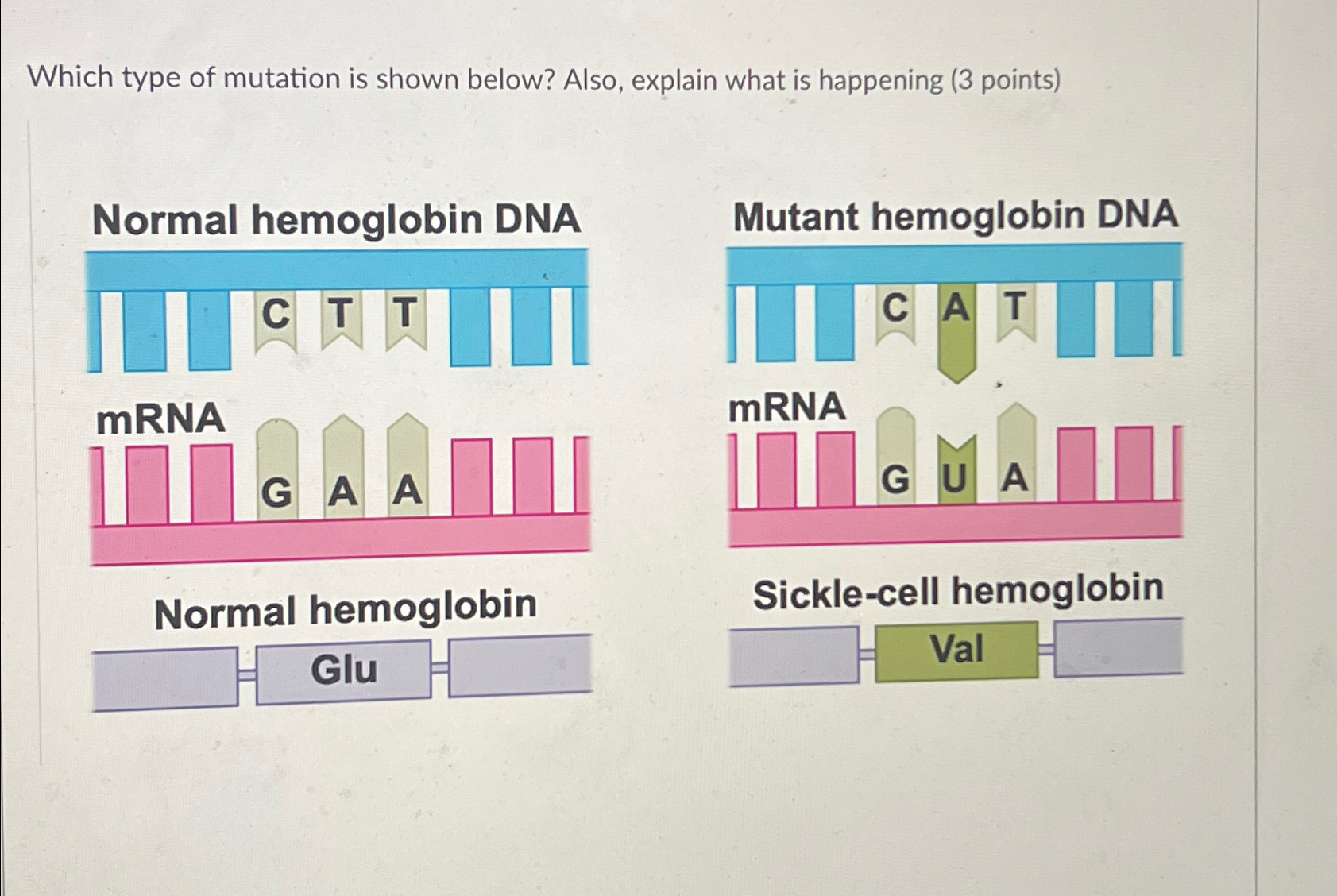 Solved Which type of mutation is shown below? Also, explain | Chegg.com