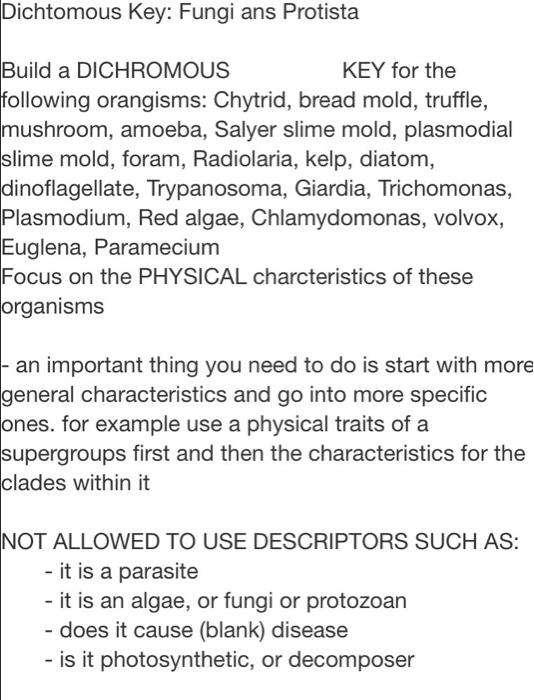 Solved Dichtomous Key: Fungi ans Protista Build a DICHROMOUS | Chegg.com