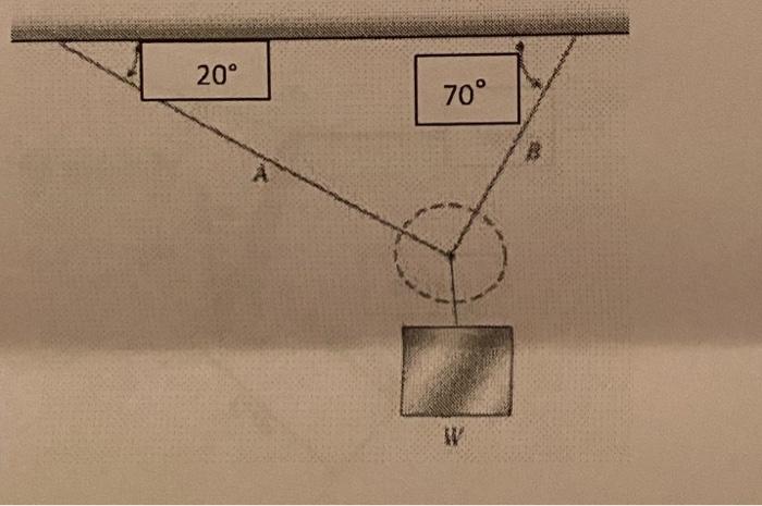 Solved Motion of a projectile, Newton's Laws and enery | Chegg.com