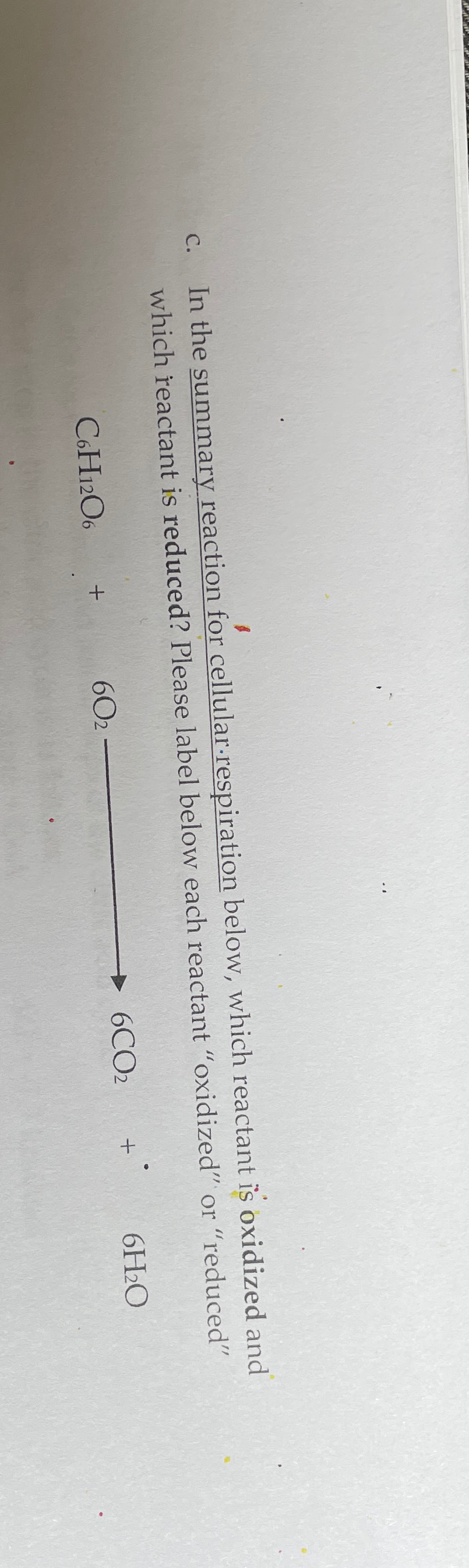 Solved c. ﻿In the summary reaction for cellular.respiration | Chegg.com