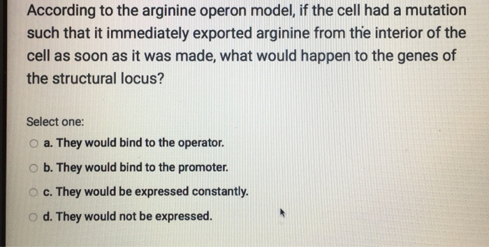 Solved According to the arginine operon model, if the cell | Chegg.com