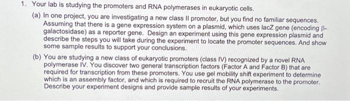 Solved 1. Your lab is studying the promoters and RNA | Chegg.com