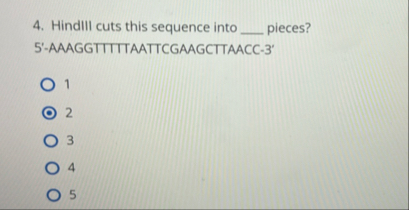 Solved HindIII cuts this sequence into | Chegg.com