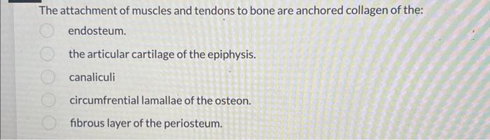 Solved The attachment of muscles and tendons to bone are | Chegg.com