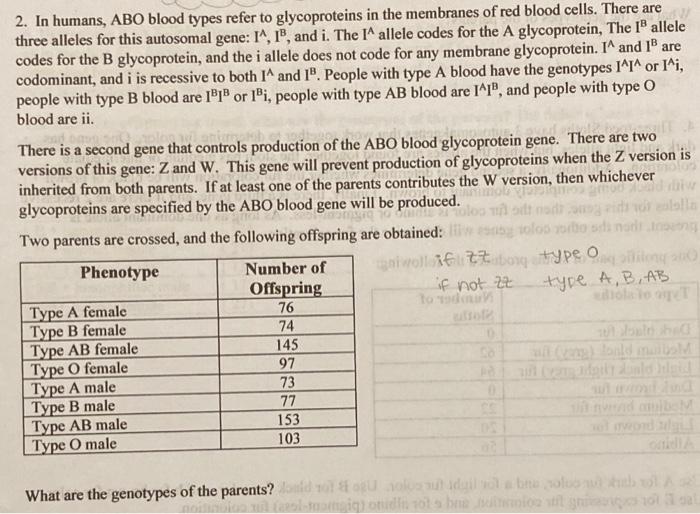 Solved 2. In humans, ABO blood types refer to glycoproteins | Chegg.com