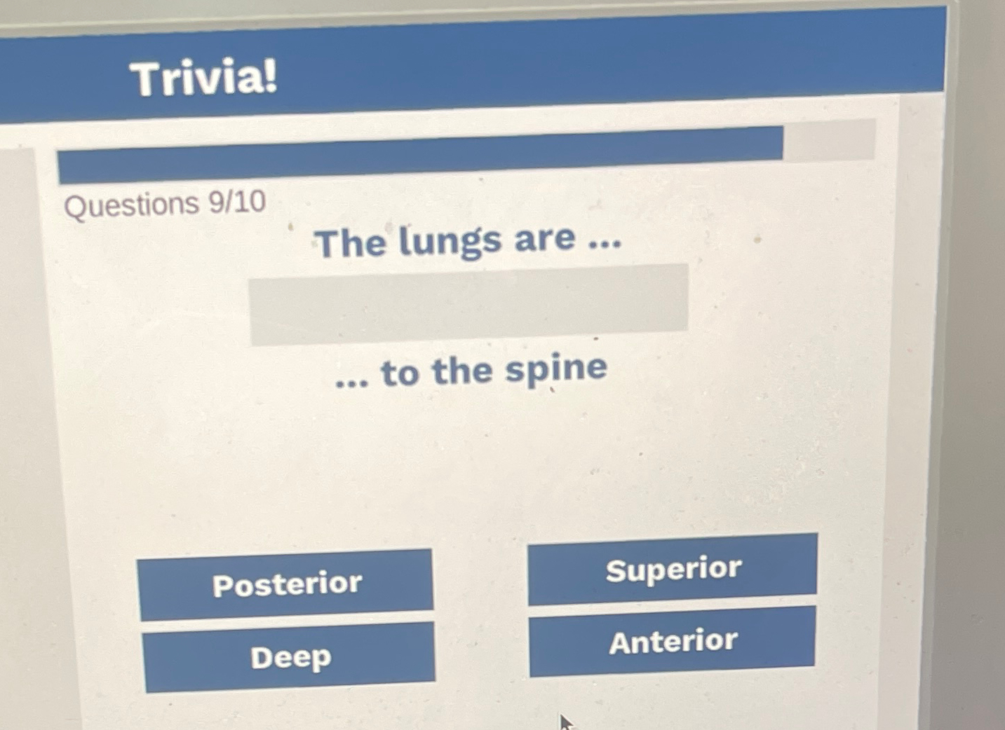 Solved Trivia!Questions 9/10The lungs are ...... ﻿to the | Chegg.com