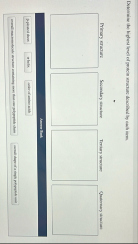 Solved Determine the highest level of protein structure | Chegg.com