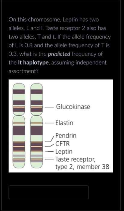 Solved On this chromosome, Leptin has two alleles, L and I. | Chegg.com
