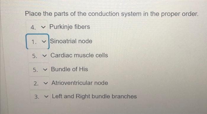 Solved Place the parts of the conduction system in the | Chegg.com