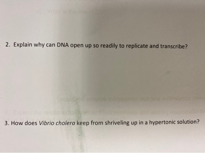 Solved explain why can dna open up so readily to replicate | Chegg.com