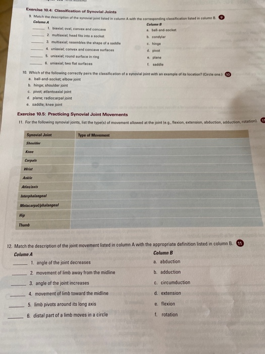 Solved Exercise 10.4: Classification of Synovial Joints 9. | Chegg.com