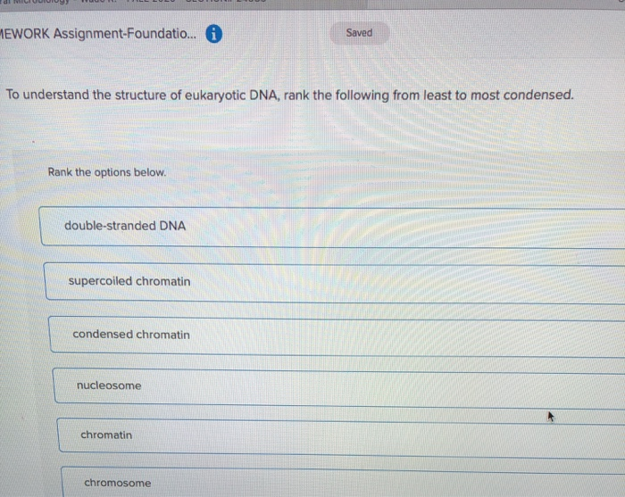 Solved MEWORK Assignment Foundatio... 6 Saved To understand | Chegg.com