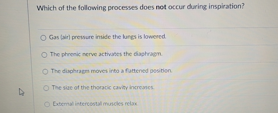 Solved Which of the following processes does not occur | Chegg.com