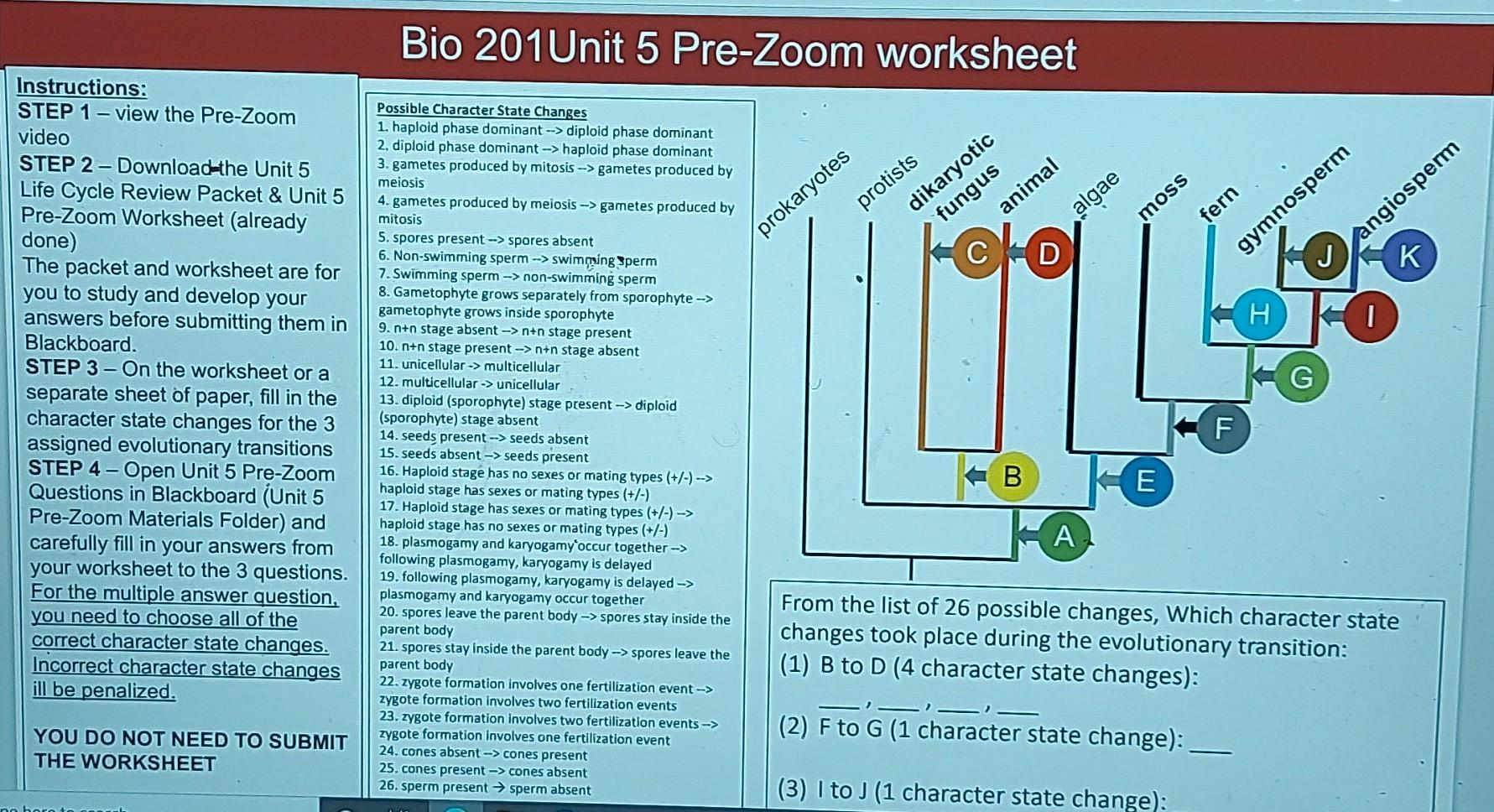 Bio 201Unit 5 Pre-Zoom worksheet algae moss fern | Chegg.com